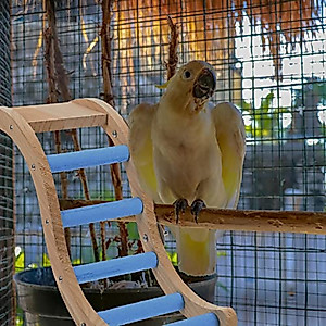 PATKAW Wooden Bird Ladder Toy Natural Wood Step Ladder Climbing Toys Bird Cage Accessories for Parakeets Parrots Cockatoo Lovebirds