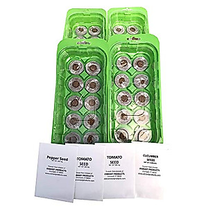 Garden Starter Kit - DIY Seedling Starter for Tomatoes, Peppers, Cucumber Planting (4 Tray)