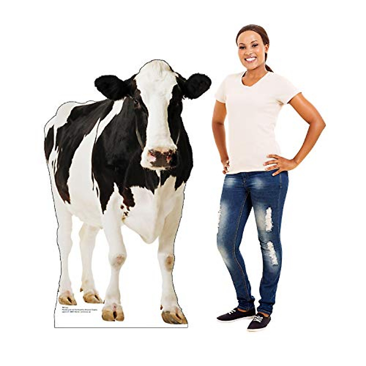 Advanced Graphics Cow Life Size Cardboard Cutout Standup