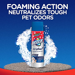 Resolve Pet Expert High Traffic Area, Carpet Foam, 22 Oz (Pack of 1)