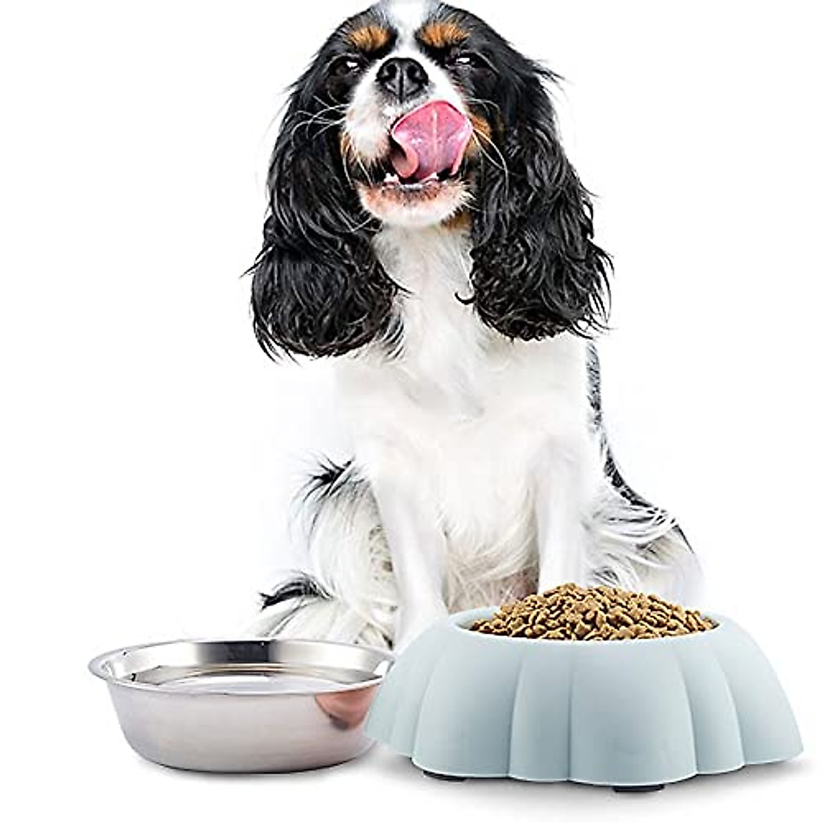FUUIE Bowls for Food and Water Household Double-Layer Stainless Steel Pet Bowl, Suitable for Cats and Dogs, Strong and Simple to Clean (Color : Blue)