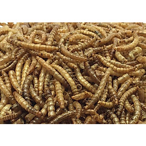 Pecking Order Dried Mealworms, 30 oz