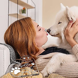 PET Memorial Gift Dog Sympathy Gift for Loss Bereavement Crystal Acrylic Heart Decor Remembrance Gifts Cat Memorial Gifts Crystal Acrylic Heart Condolence Gifts for Loss of Loved One