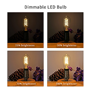 Austin Coast ST19/ST58 Vintage LED Edison Bulb,6W Warm White 2700K, Antique Flexible Spiral LED Filament Light Bulb,600Lm Dimmable with 80+ CRI, 6W Equivalent to 60W, E26 Base, Clear Glass 6 Pack