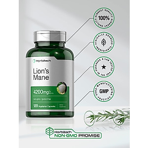 Horbäach Lions Mane Mushroom Extract | 4200mg | 120 Capsules | Vegetarian, Non-GMO, Gluten Free Supplement