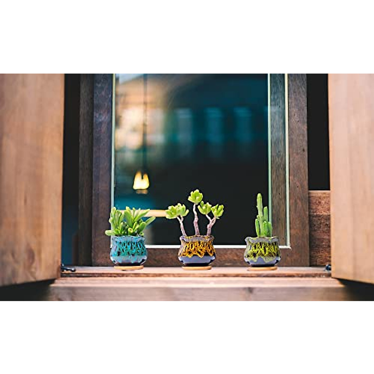 Cute Ceramic Succulent Garden Pots, Planter with Drainage and Attached Saucer, Set of 5 - Plants Not Included (Fambe)