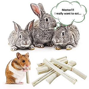 Barley Ears Sweet Bamboo Sticks for Rabbits, Guinea Pig Toys for Teeth Grinding, Rabbit Chew and Treats to Improve Dental Health, Hamster Toys for Bunny, Chinchillas, Gerbils, Rats (300g / 0.66lb)