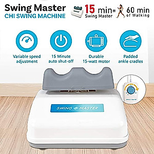 Daiwa Felicity Original Chi Swing Machine USJ-201 Passive Aerobic Exerciser Swing Master