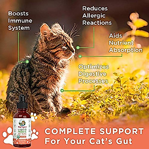 Cat Probiotic | USDA Organic Probiotic Cat | Probiotic for Cats | Cat Probiotic for Digestive Support | Supplement for Gut Health & Beneficial Bacteria | Vegan | Non-GMO | Gluten Free | 4 Fl Oz