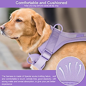No Pull Lightweight Dog Harness: Adjustable Durable Breathable Mesh Pet Vest Harness with Soft & Comfortable Cushion, for Small Medium Large Dogs (S, Lilac)