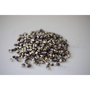 Amish Country Popcorn | 6 lb Bag | Popcorn Kernels | Small and Tender | Old Fashioned, Non-GMO and Gluten Free (6 Pound (Pack of 1)