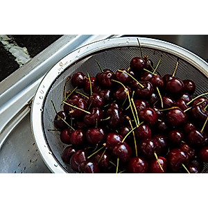 LiveFresh Large Stainless Steel Fine Mesh Strainer with Reinforced Frame and Sturdy Rubber Handle Grip - Designed for Chefs and Commercial Kitchens & Perfect for Your Home - 9 Inch / 23 cm Diameter