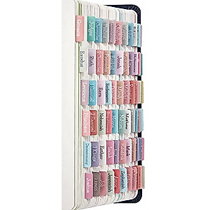 Cream Pastel Bible Tabs, Laminated Bible Tabs for Women and Girl, 90 Bible Tabs Old and New Testament, Includes 24 Blank Tabs, Bible Journaling Supplies, Bible Book Tabs, Christian Gift
