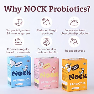 NOCK Probiotics for Dogs,Improve Kidney Function, Support Urinary Tract Health Supplement for Your Dogs Stomach, Intestine Health(220 Billion CFUs Per)