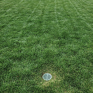 Premium USA Made 3" Inch Black Outdoor Round Flat Drain Grate Cover - Fits 3" Inch Sewer & PVC Drain Pipe/Fittings, Also Fits Triple Wall Pipe & Corrugated Landscape Pipe 3" (Black)