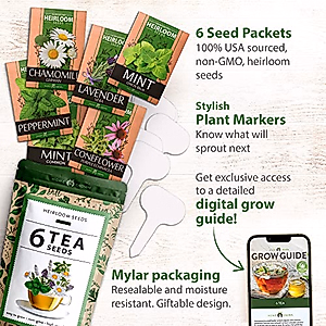 Medicinal Herb Seeds Collection | 6 Heirloom Tea Seeds | Non GMO Lavender, Chamomile, Mint Seeds for Planting Outdoors & Indoors - Lemon Balm, Peppermint, Echinacea | Gardening Gifts for Women & Men