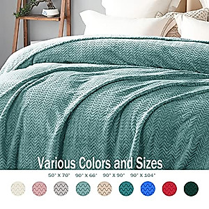 Exclusivo Mezcla Large Flannel Fleece Throw Blanket, Jacquard Weave Wave Pattern (50" x 70", Celadon) - Soft, Warm, Lightweight and Decorative
