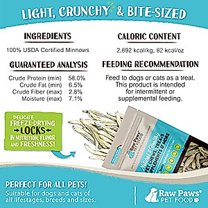 Raw Paws Pet Freeze Dried Minnows for Dogs & Cats, 2-oz - USA Fish Dog Treats - All Natural, Single Ingredient Minnow Cat Treats - Raw Freeze Dried Dog Snacks - Grain Free Cat Reward