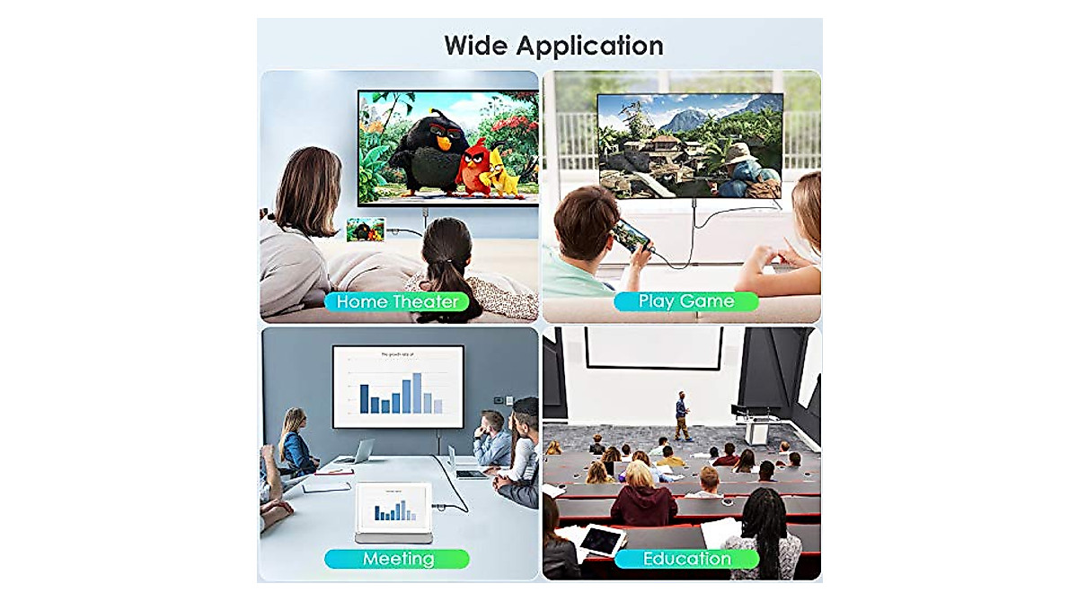 Renkchip 2-in-1 USB-C/Micro USB to HDMI Cable — 1080P HD Mirroring ...