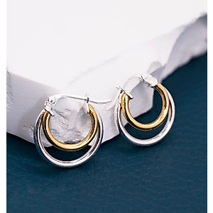 Hoops & Loops Yellow Gold Flash Sterling Silver Two-Tone Double Circle Round-Tube Polished Hoop Earrings, 15mm