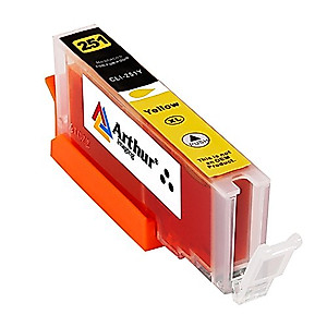 Arthur Imaging Compatible Ink Cartridge Replacement for Canon Pgi-250Xl CLI-251XL for Use with Pixma MX922 MG5520 (6 Large Black, 4 Small Black, 4 Cyan, 4 Yellow, 4 Magenta, 22-Pack)