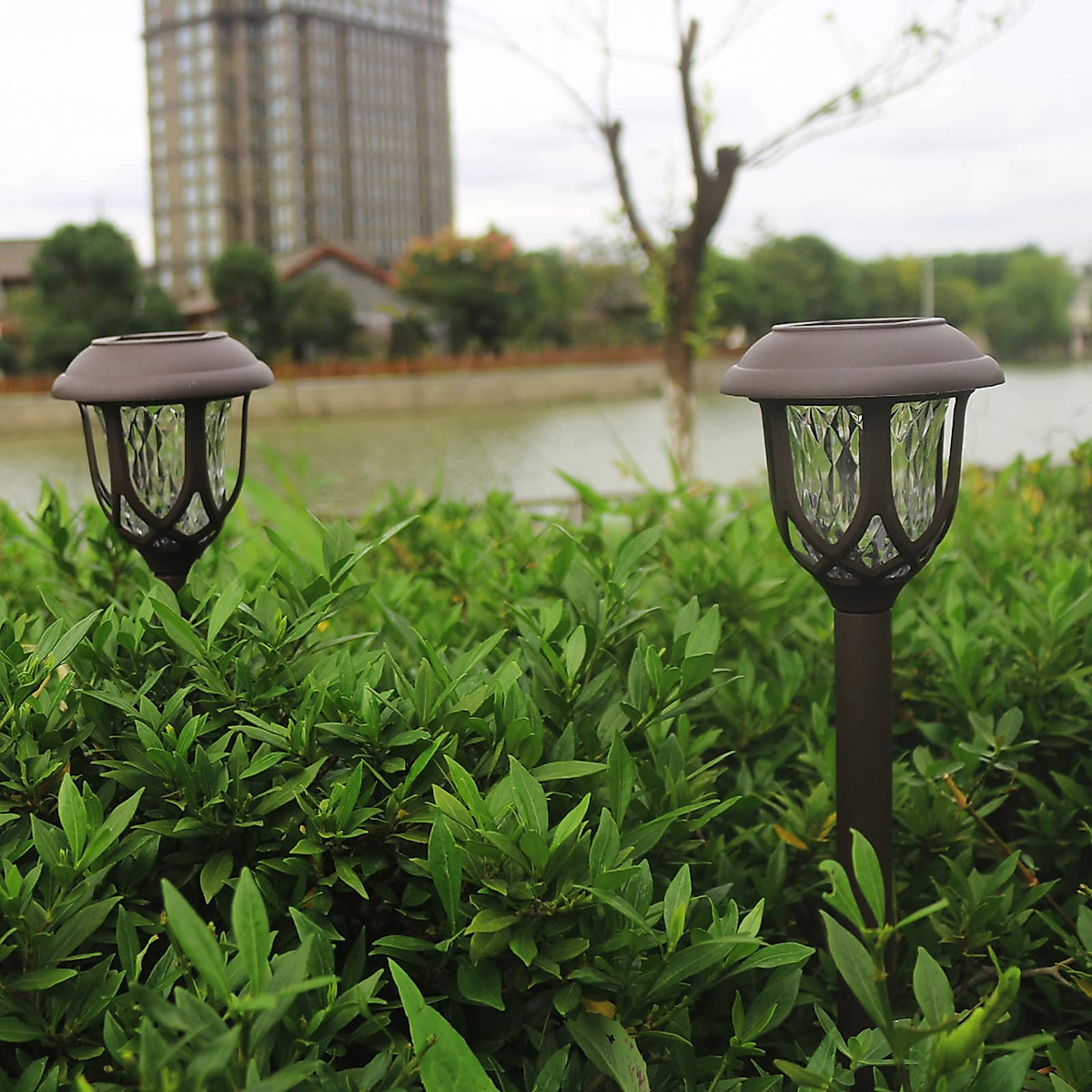 YYYC Solar Lights Outdoor Landscape Lights - Waterproof Solar Garden Lights, Warm White Solar Pathway Lights, Bright Outside Lights for Yard, Walkway, Lawn 6PCS