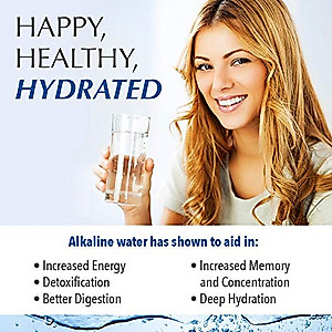 Replacement Internal Active Carbon Filter for PH 3~11 Alkaline Water Ionizer Purifier Machine Only