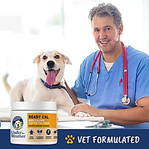 Under the Weather Ready Cal Powder for Dogs | High-Calorie, Weight Gainer, Appetite Stimulant, Energy Booster Pet Supplement | 12 Ounces
