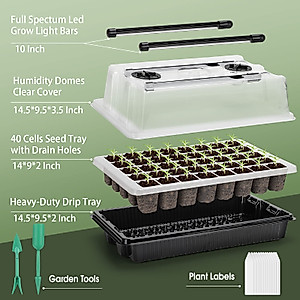 YLYYCC Seed Starter Tray with Grow Light,40 Cells Seed Starter Kit with Humidtiy Dome,Seedling Starter Trays for Seed Germination Kit, Seedling Starting,Propagation, Cloning Plants