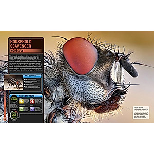 Super Bug Encyclopedia: The Biggest, Fastest, Deadliest Creepy-Crawlers on the Planet (DK Super Nature Encyclopedias)