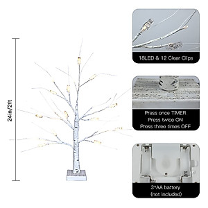 DECORKEY Money Tree Gift Holder, 24" 2FT Birch Tree with LED Lights, Battery Powered Timer Display Trees Stands with 12 Clear Clips Card, for Christmas, Birthday, Wedding, Photo, Graduation (White)