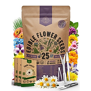 Organo Republic 25 Edible Flower Seeds Variety Pack- Indoor/Outdoor. 8000+ Non-GMO Heirloom: Anise, Hyssop, Nasturtium, Pansy, Echinacea, Lavender, Chives Seeds & More