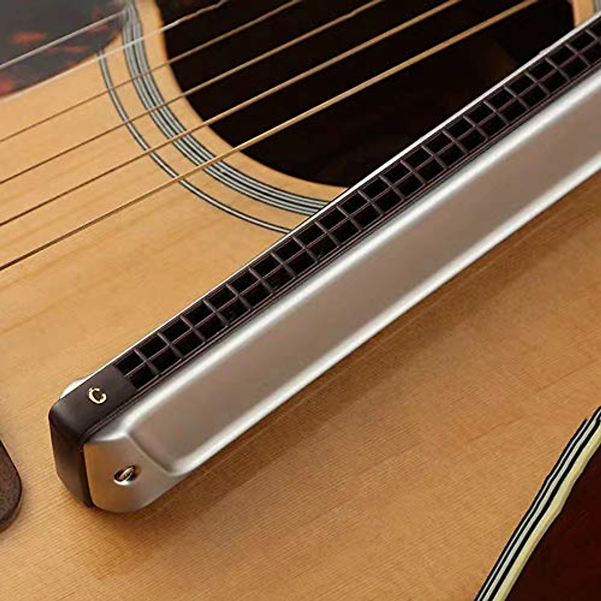 WAAZVXS Harmonica Key C 24 Holes Harp Phosphor Bronze Reeds ABS Comb Musical Instruments Professional (Color : 2430 Key C)