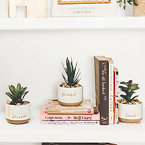 Pavilion Gift Company - Grateful - Artificial Plant with Stones, Mini Fake Aloe Plant, 1 Count (Pack of 1), 3.5” x 3.5” x 6.25” Overall in Size