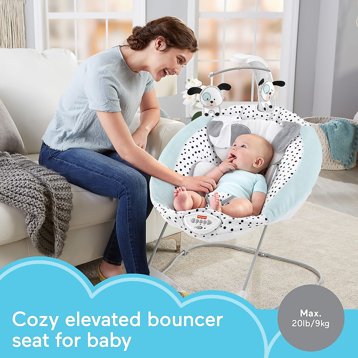 Fisher Price - Deluxe Bouncer Snugapuppy