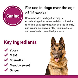 Vet Classics Pain Plus Extra Strength Health Supplement for Dogs - 120 Soft Chews