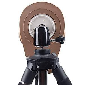 BHD BEAUTY Eyelash Practice Training Head for Makeup Cosmetology Dark Brown Flat Soft PVC Material Head with Mount Hole.