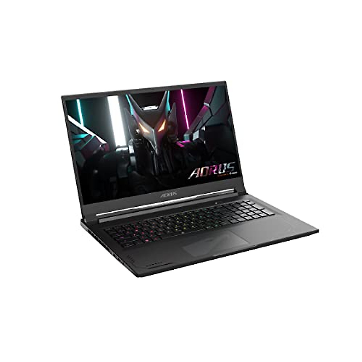 Gigabyte AORUS 17X: 17.3" Thin Bezel QHD 2560x1440 240Hz Display, NVIDIA GeForce RTX 4090 Laptop GPU 16GB GDDR6, Intel Core i9-13950HX,32GB DDR5 RAM, 2TB SSD, Win11 Pro(AORUS 17X AZF-C5US665SP), Black