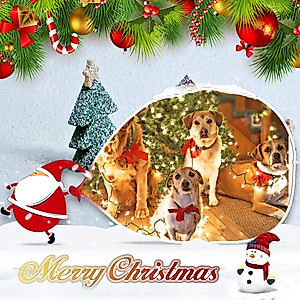 Qedertek Solar String Lights, 72ft 200 LED Fairy Lights, 8 Modes Ambiance Lighting for Outdoor, Patio, Lawn, Landscape, Garden, Home, Wedding (2 Pack, Cool White)