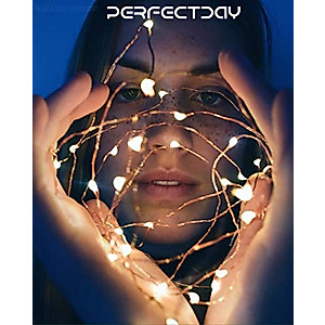 String Lights, PERFECTDAY 200 LED 66 FT Copper Fairy String Lights Warm White Waterproof USB Powered String Light for Indoor Outdoor Party Decoration