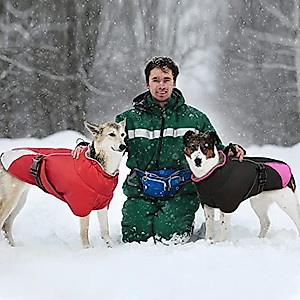 BRKURLEG Dog Jacket Winter Coat,Turtleneck Reflective Dog Cold Weather Coat with Fleece Lining,Waterproof Warm Padded Doggy Waistcoat,Adjustable Neck Chest Girth Dog Windbreaker Vest for All Breeds