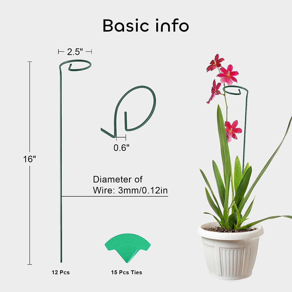 GROWNEER 12 Packs 16 Inches Garden Flower Support Plant Support Stakes, with 15 Pcs Plant Labels, Single Plant Stem Flower Support for Flowers, Orchid, Peony, Lily, Rose