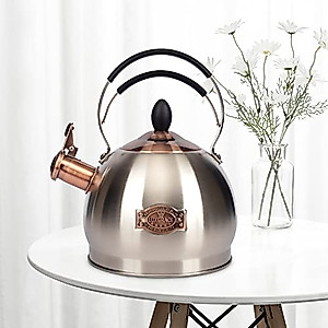 Whistling Tea Kettle Stainless Steel Teapot, Teakettle for Stovetop Induction Stove Top, Fast Boiling Heat Water Tea Pot 2.6 Quart