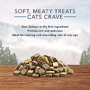 Blue Buffalo Wilderness Grain Free Soft-Moist Cat Treats, Chicken & Salmon 2-oz Bag