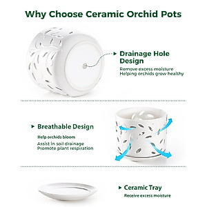 EFISPSS Orchid Pot with Holes, 5+6Inch Ceramic Plant Pots with Drainage Holes and Tray, Promoting Air Circulation and Drainage, Indoor/Outdoor White Flower Pots