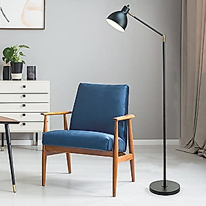 Catalina 20093-001 Modern Adjustable Metal Floor Lamp with Brass Accents, 54.5", Classic Black