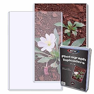 BCW 6x9 Topload Holders | Rigid PVC Photo and Postcard Protectors | Ideal for 6x9 Prints, Cards, and Documents | Acid-Free, Durable Display Case for Maximum Protection | Trading Cards, Photo Storage