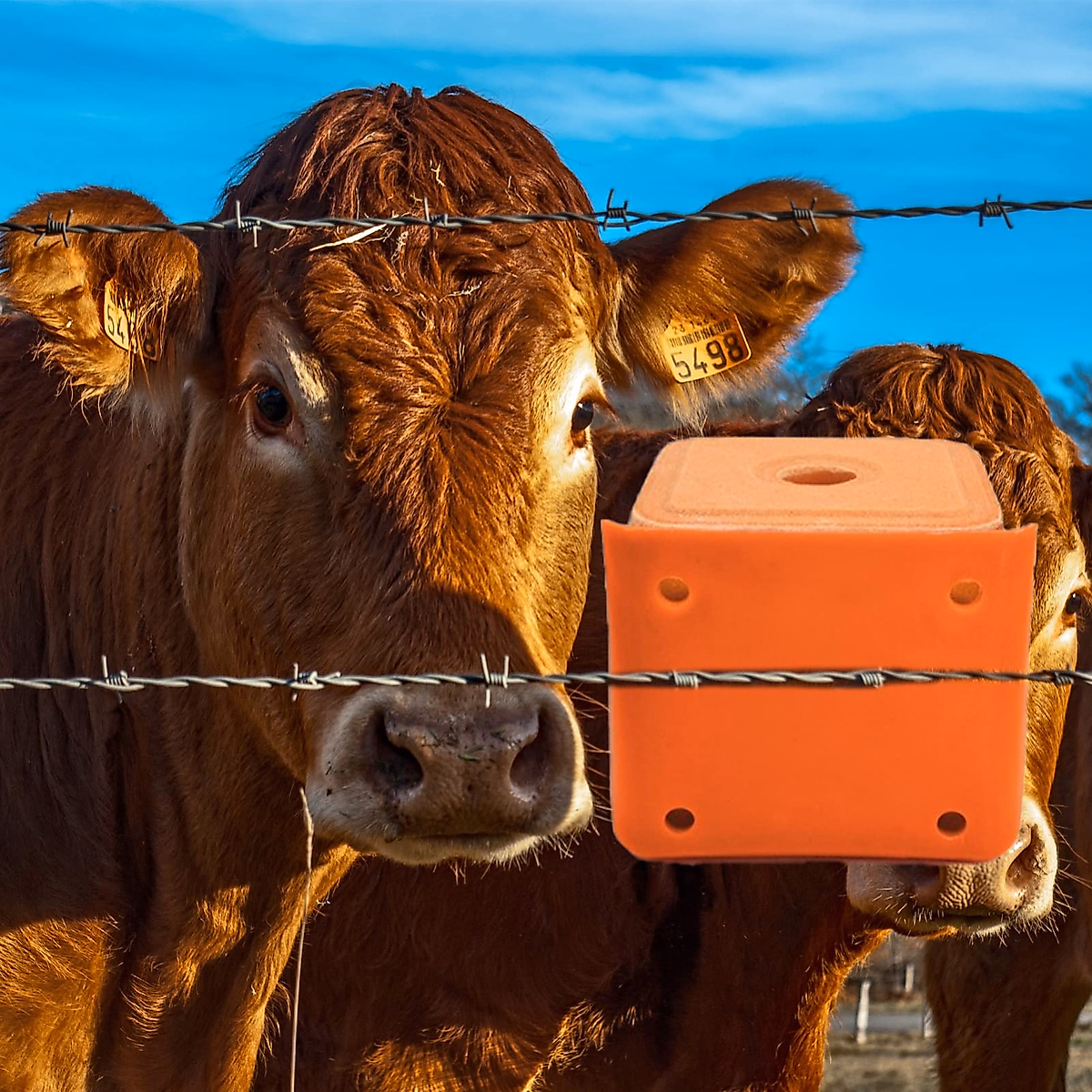 ULTECHNOVO Mineral Salt Block Holder Livestock Salt Block Feeder Farm Animal Feeding Containers Salt Lick Feeding Boxes for Horses Cattle Sheep Orange