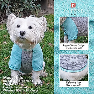 KYEESE 2 Pack Dog Shirts Raglan Sleeve Quick Dry Lightweight Stretchy Protects Against Foxtails Dog T-Shirts with Reflective Label Puppy Shirts for Small Dogs Sun Protection, Medium, Grey+Blue