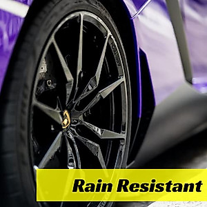 Stoner Car Care 91094-6PK 12-Ounce More Shine Tire Finish Non-Greasy Spray Enhances and Restores Your Tires Natural Color, Pack of 6